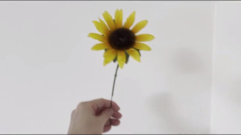 Jetson nanoで、オリジナルの学習モデルを使った物体検出[1/5] 〜IBM Cloud Annotationsを使ったアノテーション ...